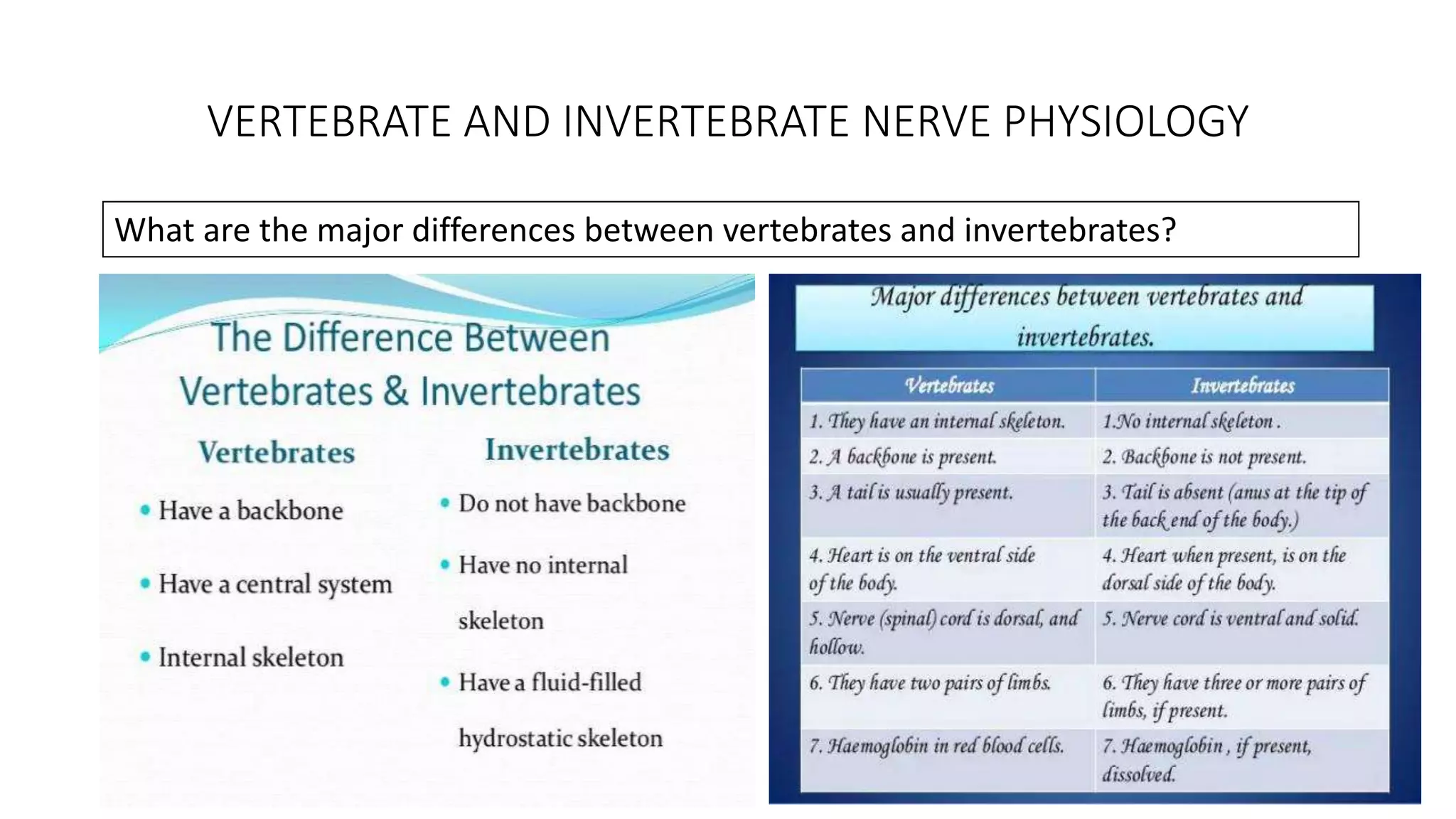 vertebrate and invertebrate nervous system physiology.pptx