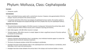 vertebrate and invertebrate nervous system physiology.pptx