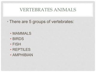 Vertebrate animals part 1 | PPTX