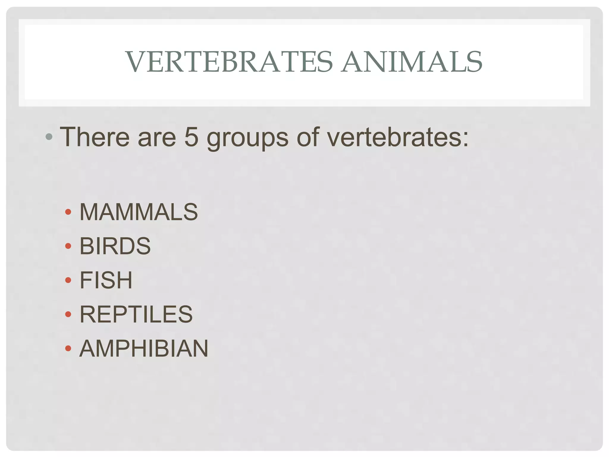 Vertebrate animals part 1 | PPTX