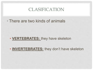 Vertebrate animals part 1 | PPTX