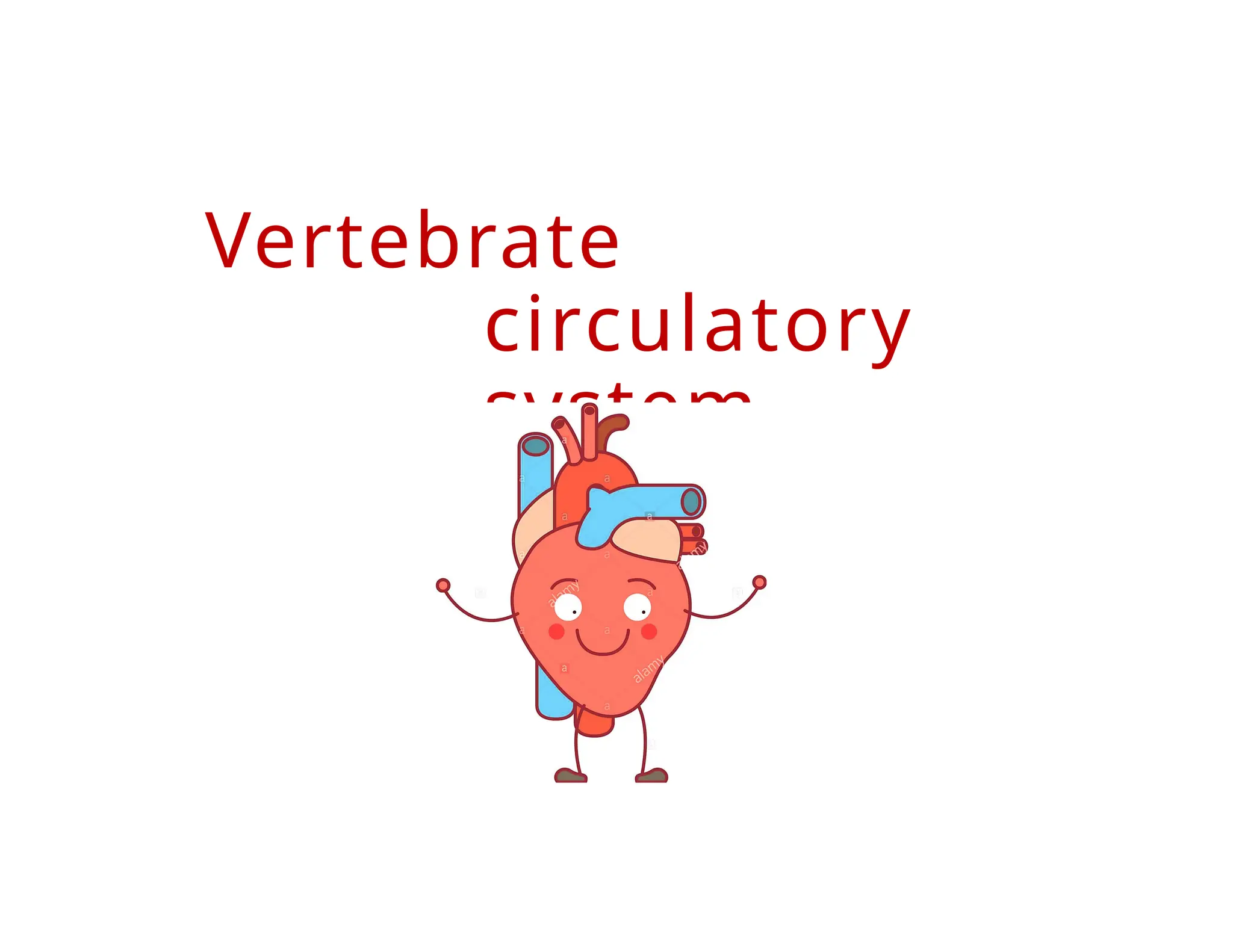 Vertebrate circulatory system blood and components.pptx
