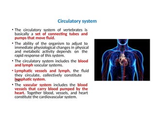 Vertebrate circulatory system blood and components.pptx