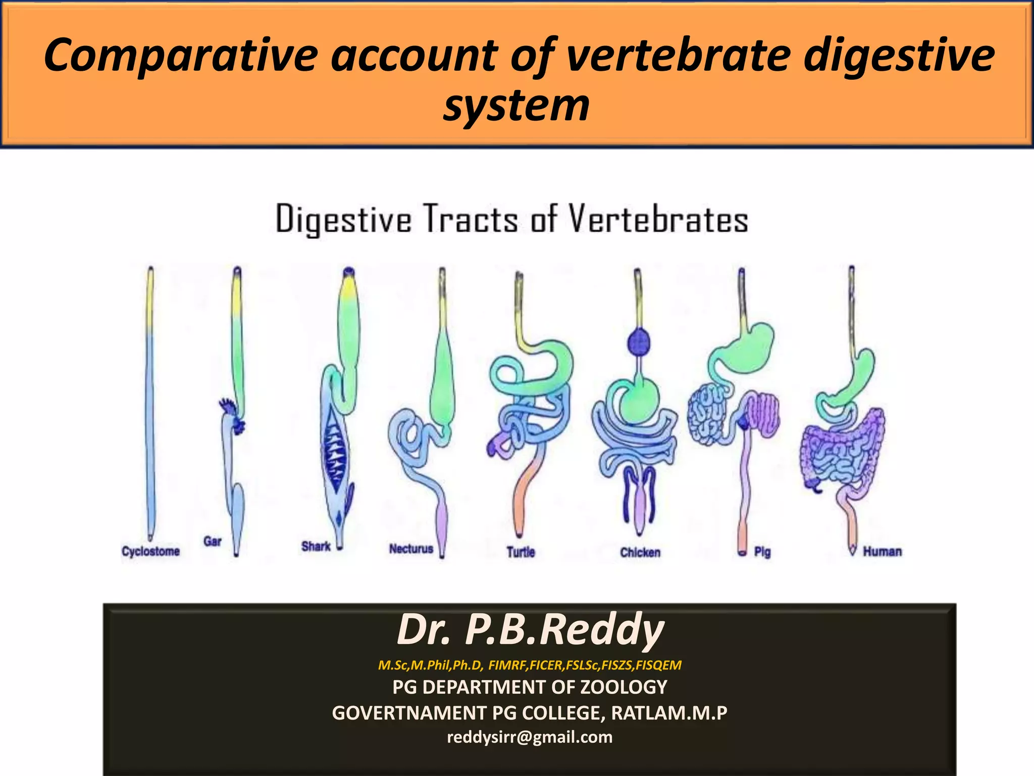 Vertebrate digestive system | PPTX
