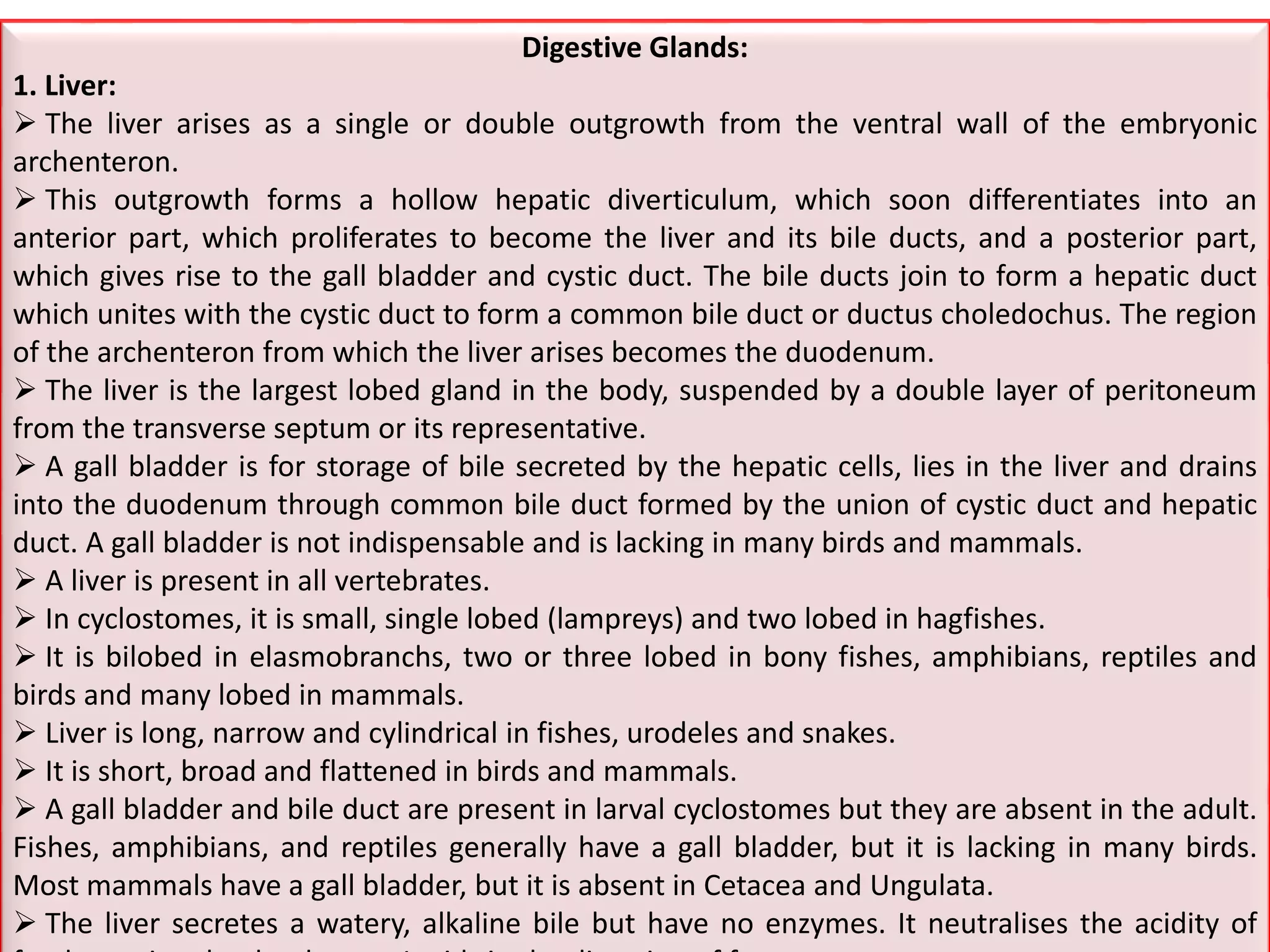 Vertebrate digestive system | PPTX