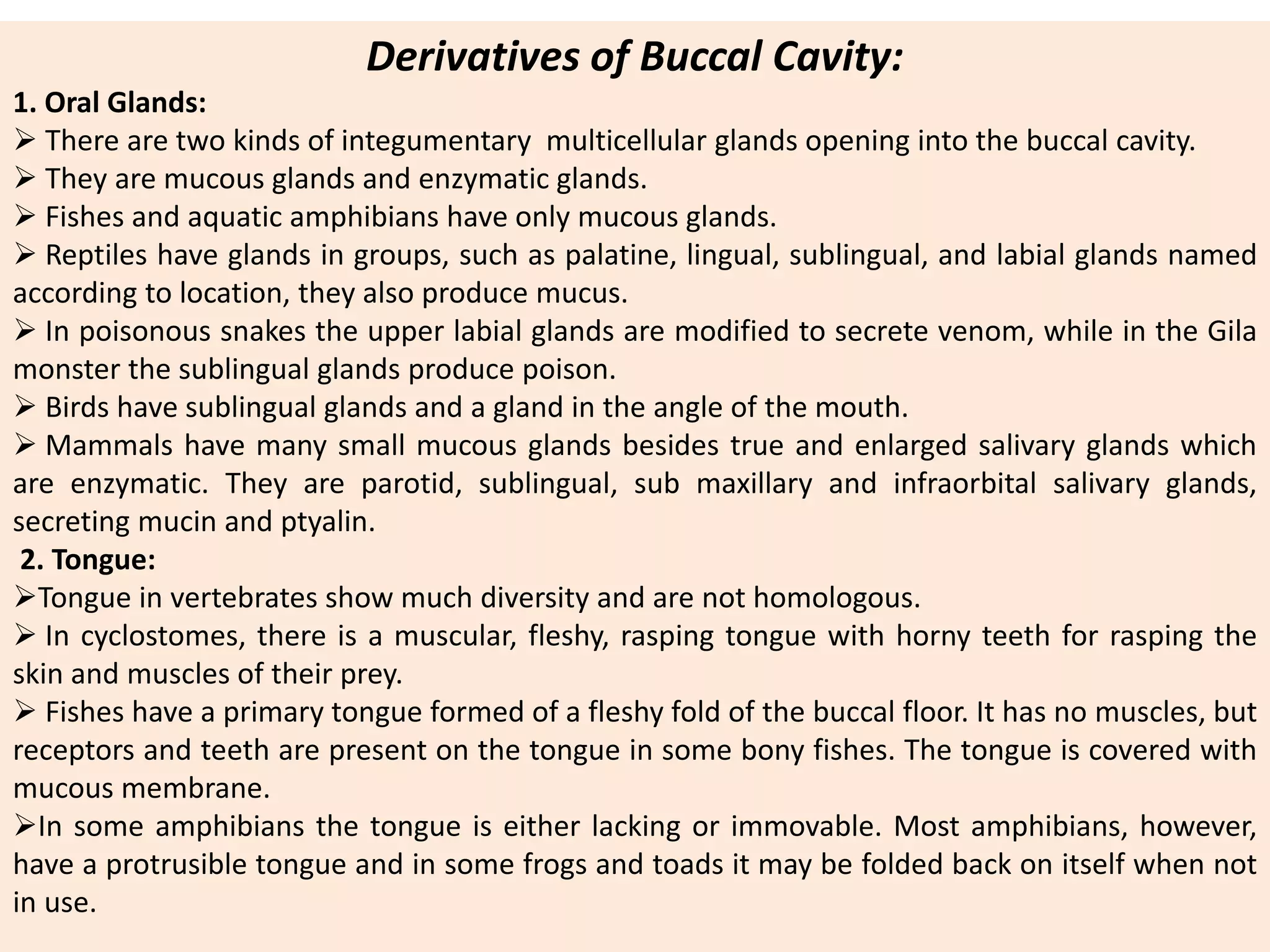 Vertebrate digestive system | PPTX