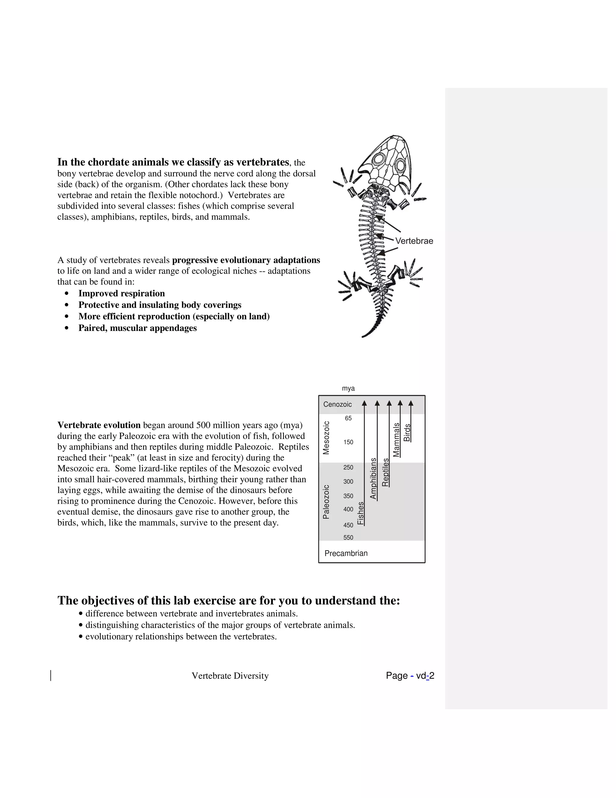 Vertebrate diversity | PDF