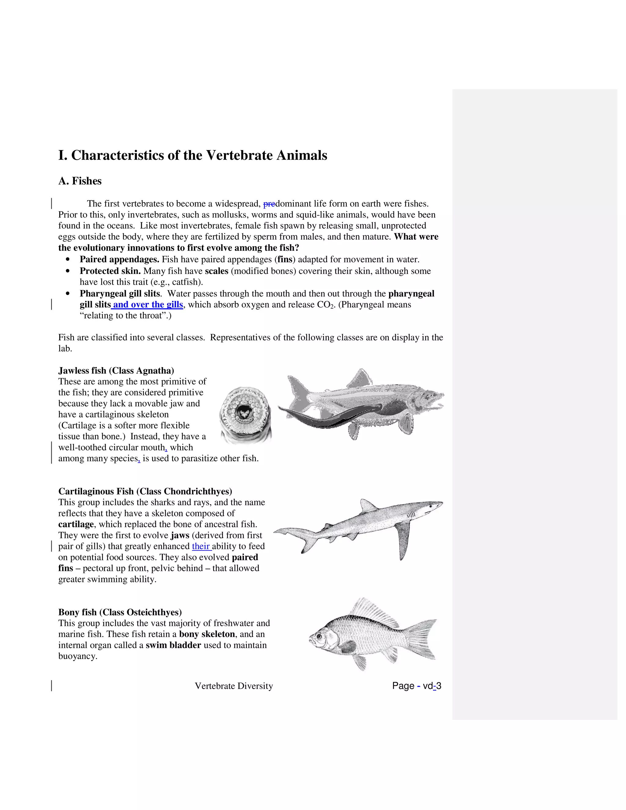 Vertebrate diversity | PDF