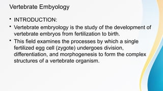 Vertebrate Emryology and importance.presentation | PPTX