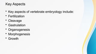 Vertebrate Emryology and importance.presentation | PPTX
