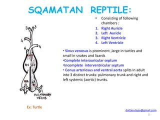 Comparative account of vertebrate heart | PPTX