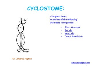 Comparative account of vertebrate heart | PPTX