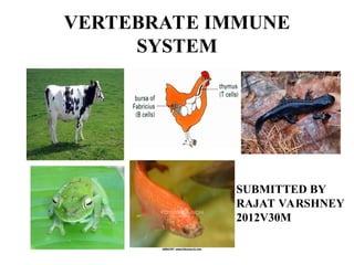 Immune System of Vertebrates by Prashant Dwivedi.ppt