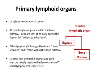 Immune System of Vertebrates by Prashant Dwivedi.ppt