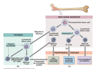 Immune System of Vertebrates by Prashant Dwivedi.ppt