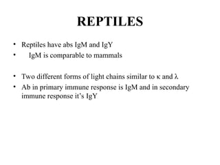 Immune System of Vertebrates by Prashant Dwivedi.ppt