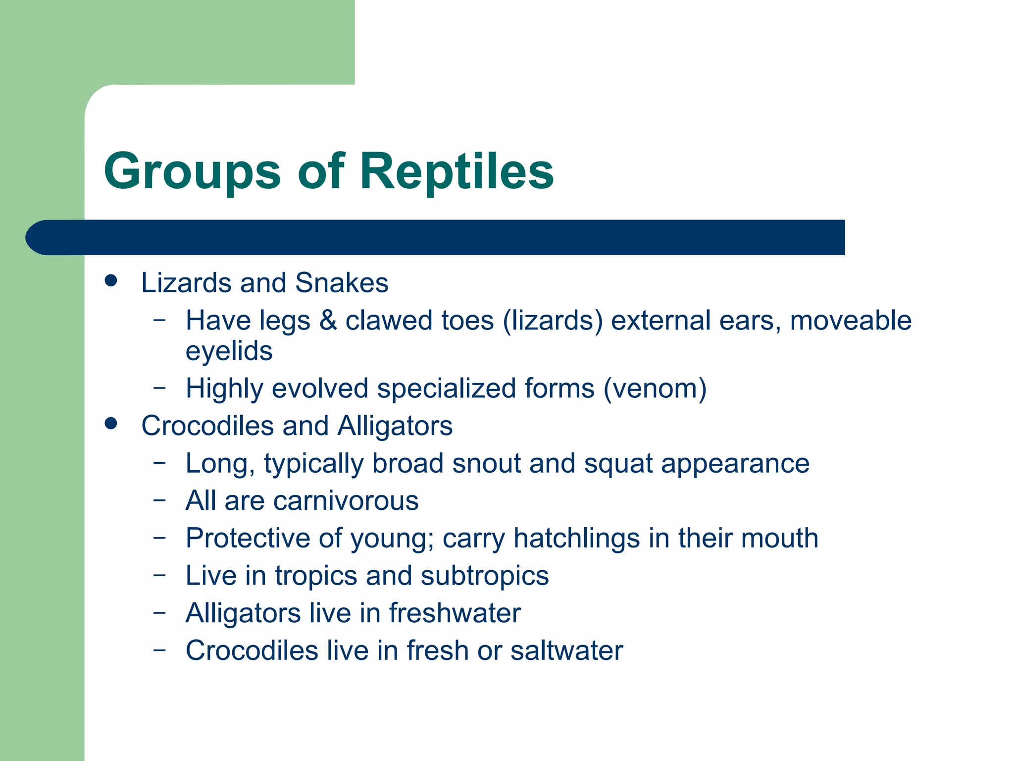 Vertebrate notes | PPT