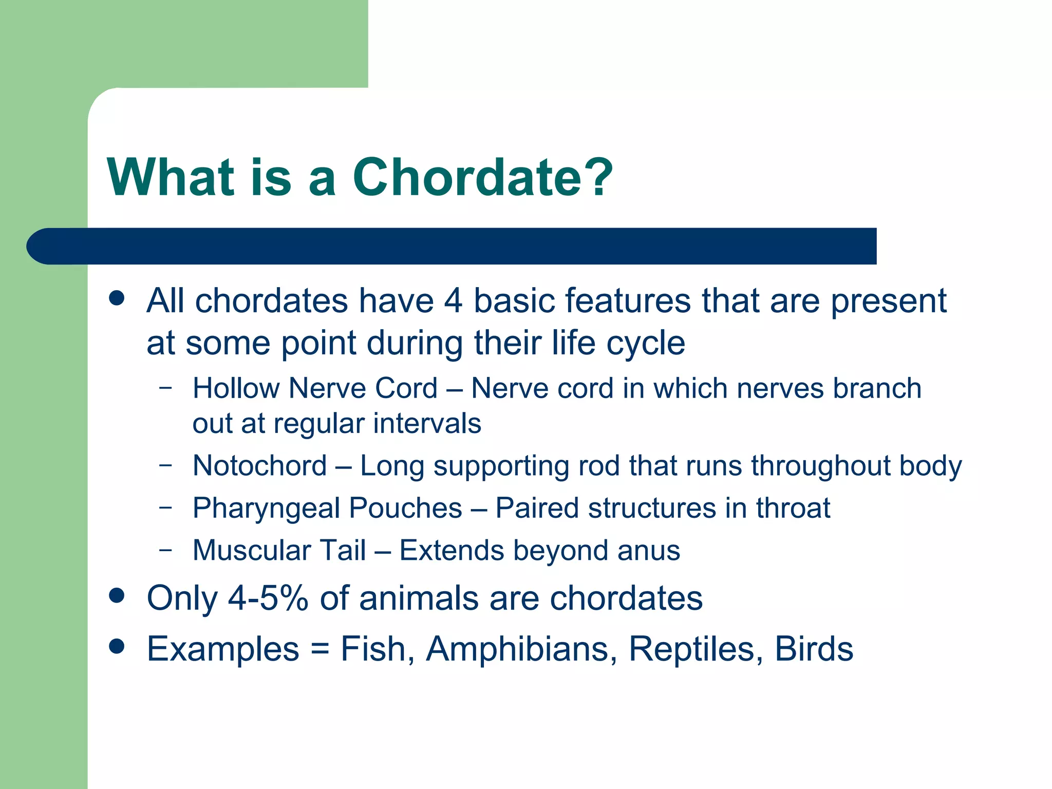 Vertebrate notes | PPT