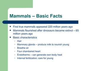 Vertebrate notes | PPT