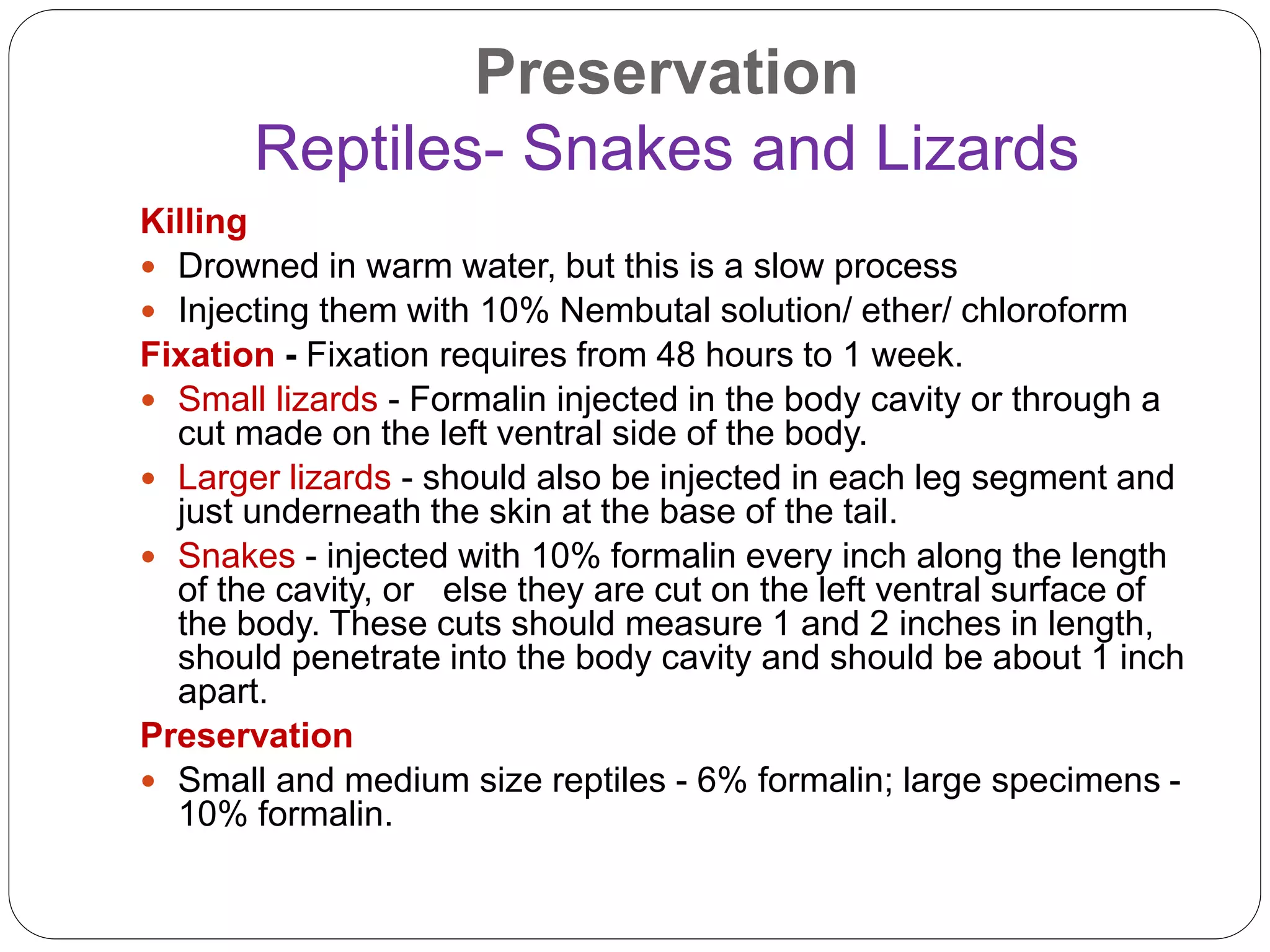 Vertebrate Preservation | PPTX