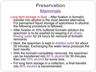 Vertebrate Preservation | PPTX
