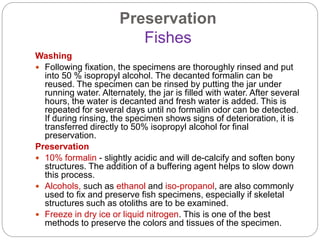 Vertebrate Preservation | PPTX