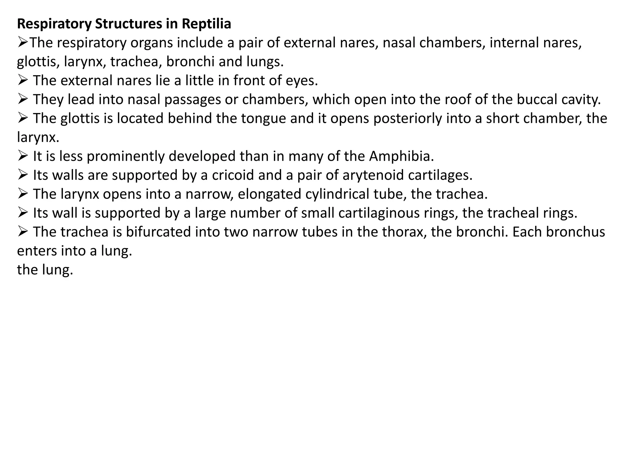 Vertebrate respiratory system | PPTX