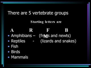 Vertebrates | PPT