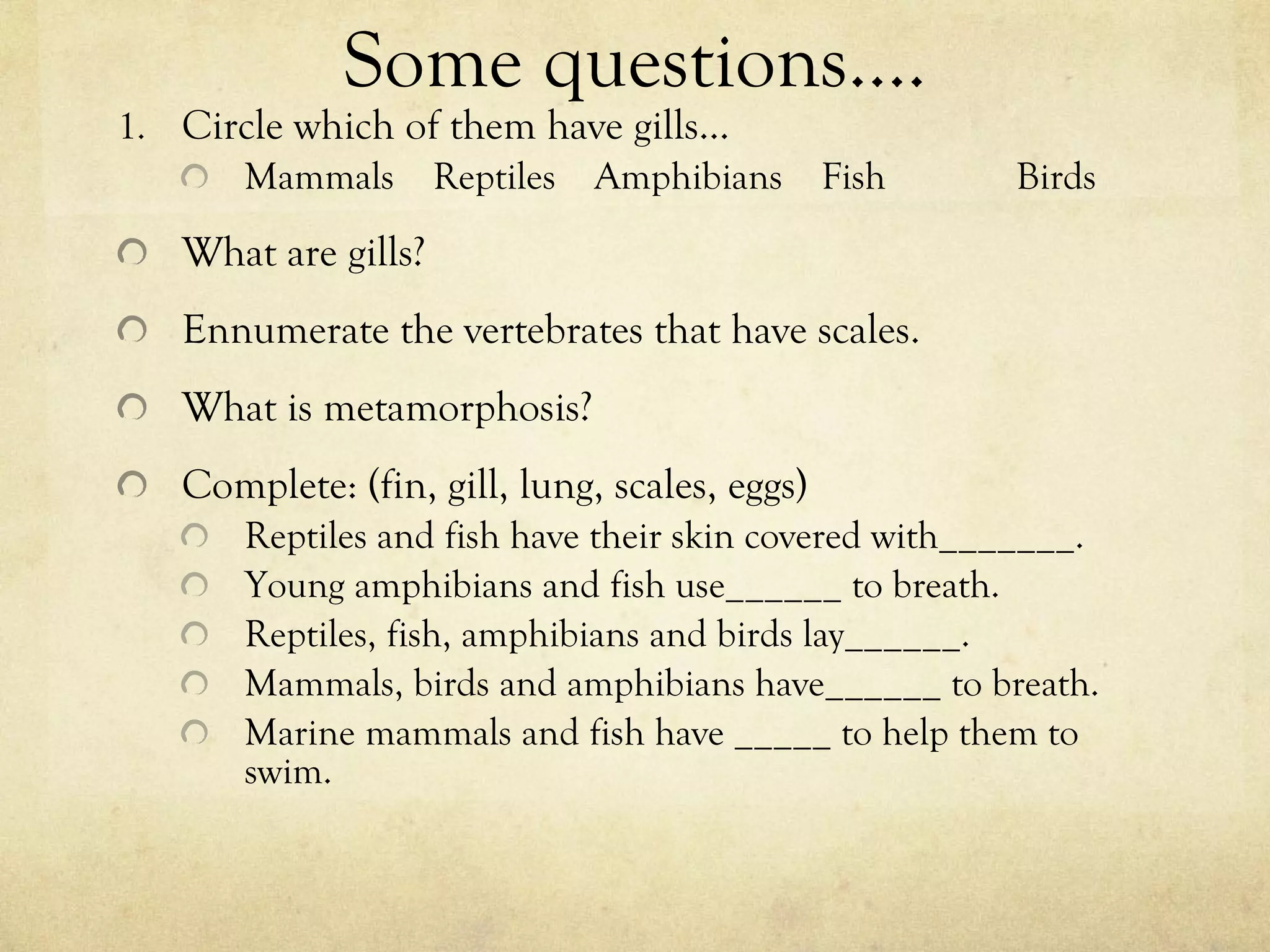 Vertebrates | PPT