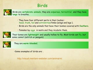 Vertebrates | PPT