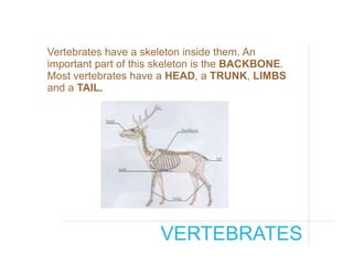 Vertebrates | ODP