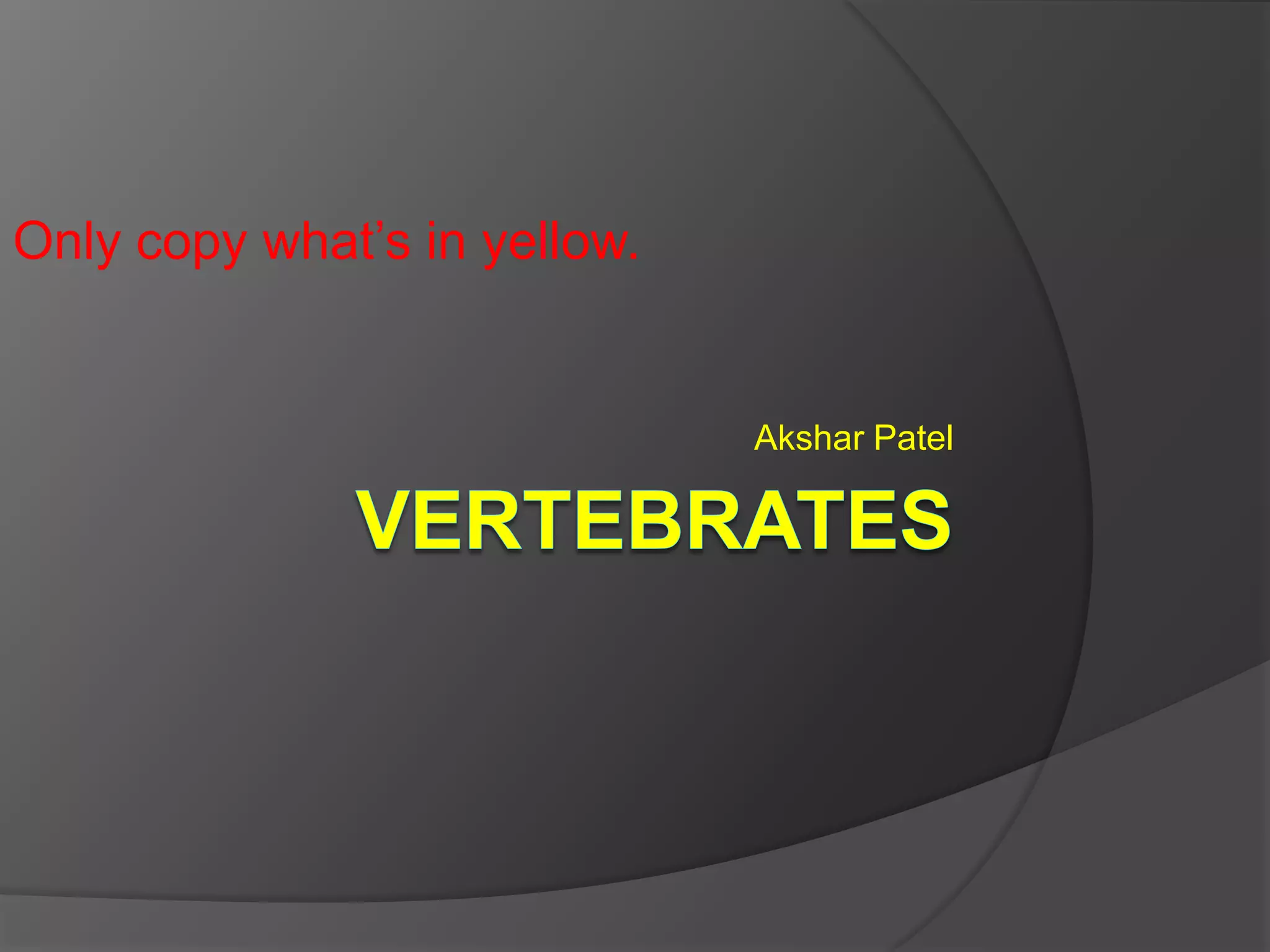 Vertebrates | PPT