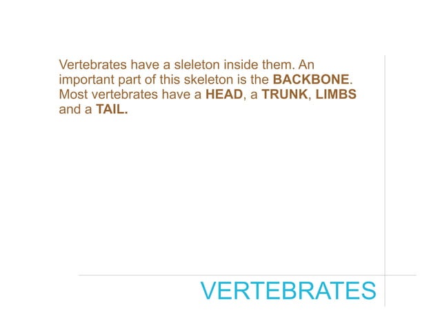 Vertebrates | PPT