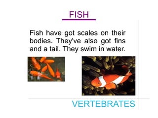 Vertebrates | ODP