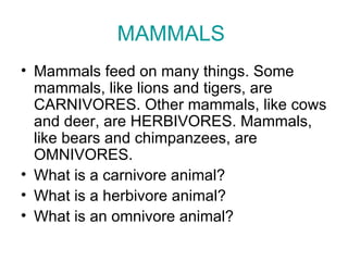 Vertebrates | PPT
