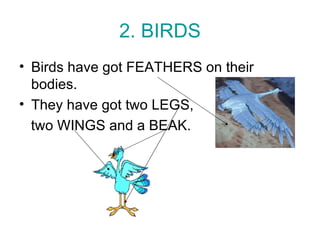 Vertebrates | PPT