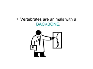 Vertebrates | PPT