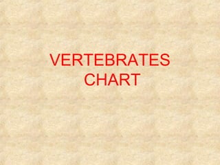 Vertebrates | PPT | Lung and Respiratory Health | Diseases and Conditions