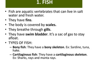 Vertebrates | PPT