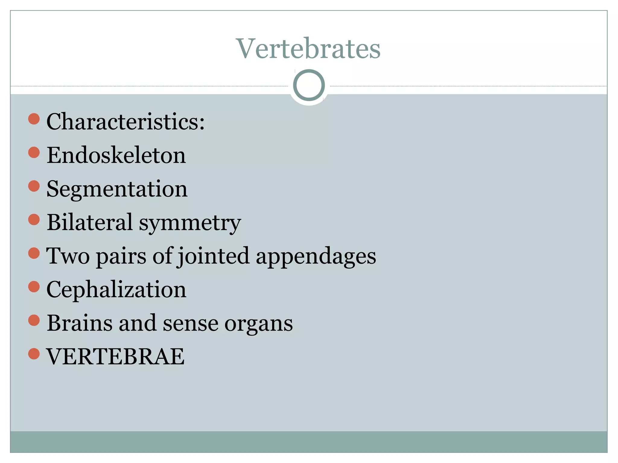 Vertebrates | PPT
