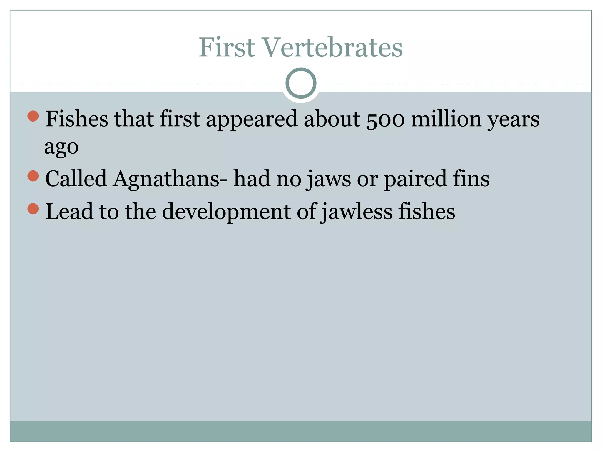 Vertebrates | PPT