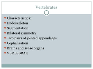 Vertebrates | PPT