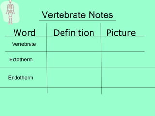 Vertebrates! | PPT