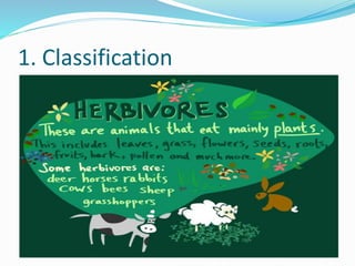 Vertebrates | PPTX | Reptiles | Pets