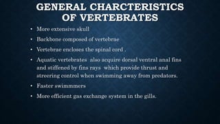Vertebrates . | PPTX