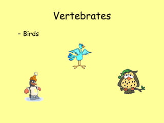 Vertebrates | PPT