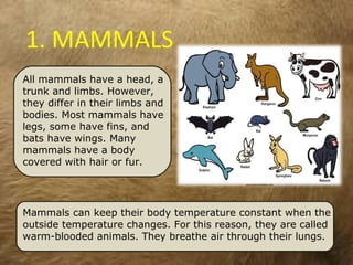 Vertebrates | PPT