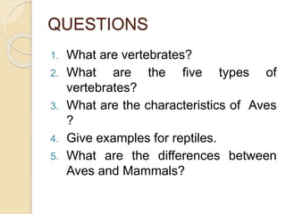 Vertebrates | PPT