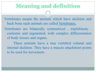 Vertebrates | PPTX