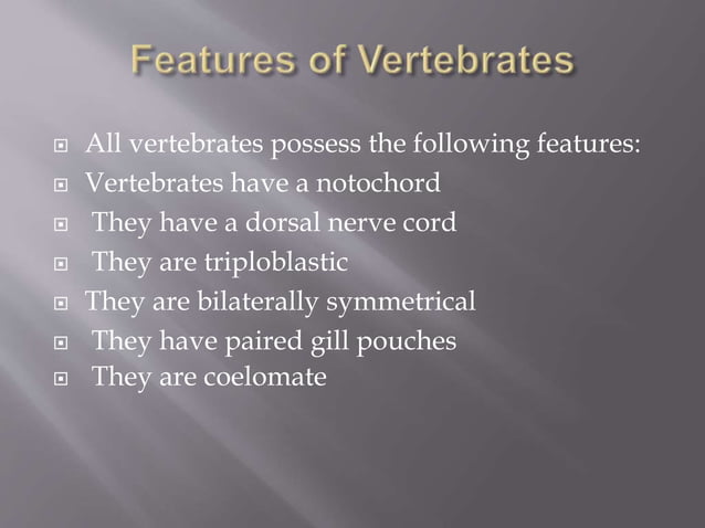 Vertebrates | PPT